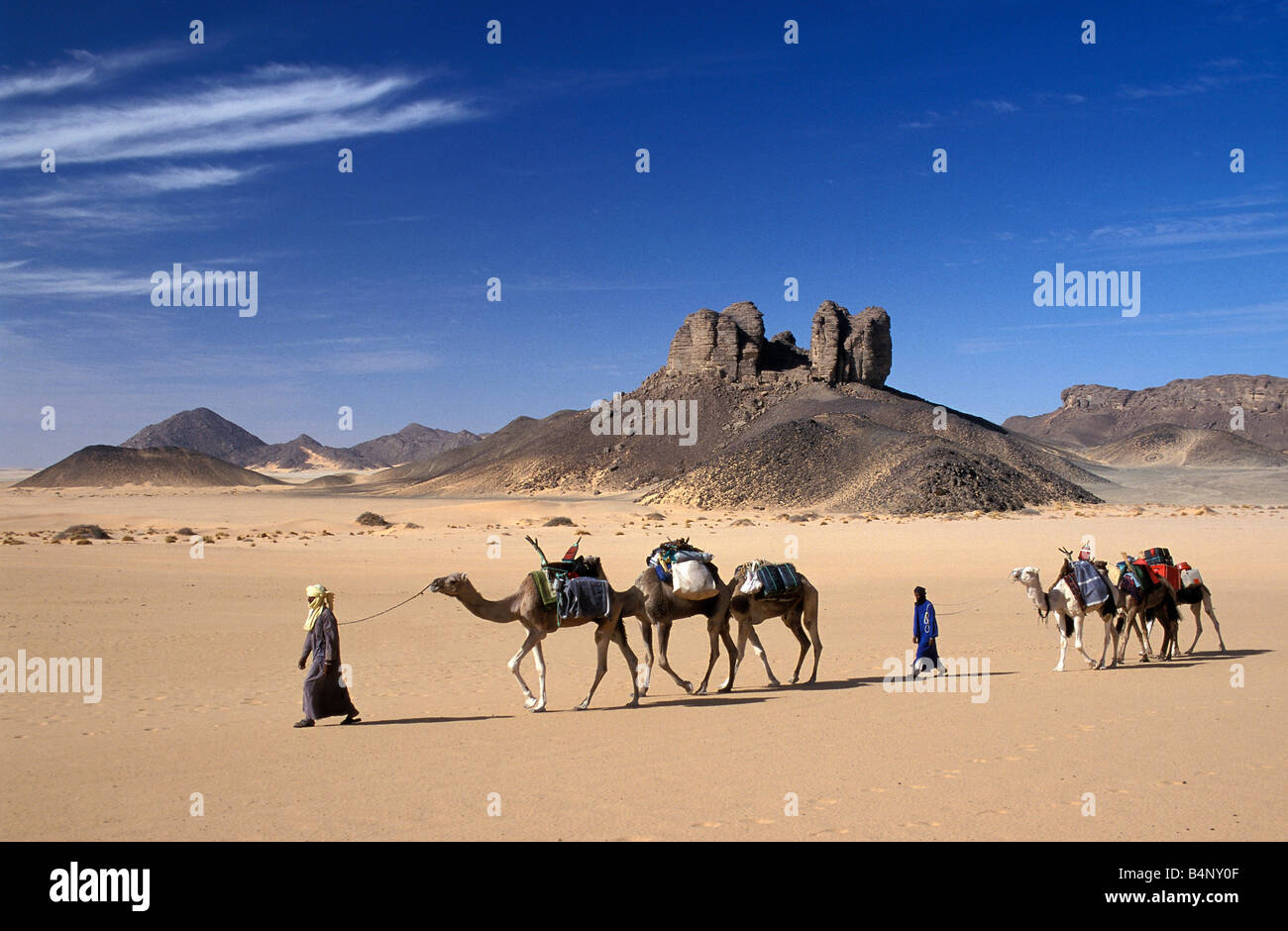 Algeria near Djanet Men of Tuareg tribe and camel caravan Sahara desert ...