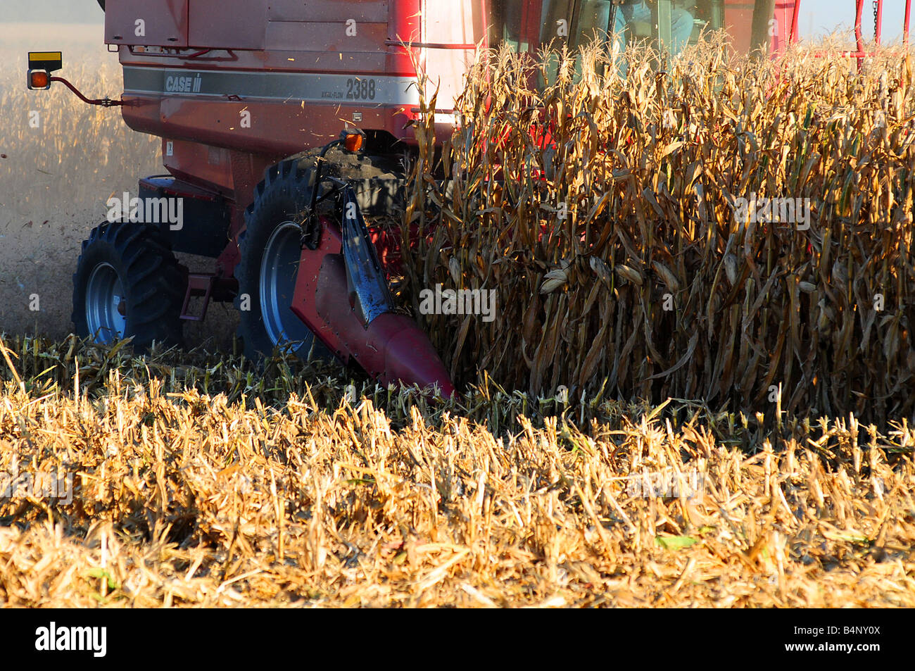 A combine in the farm field at harvest time Stock Photo - Alamy