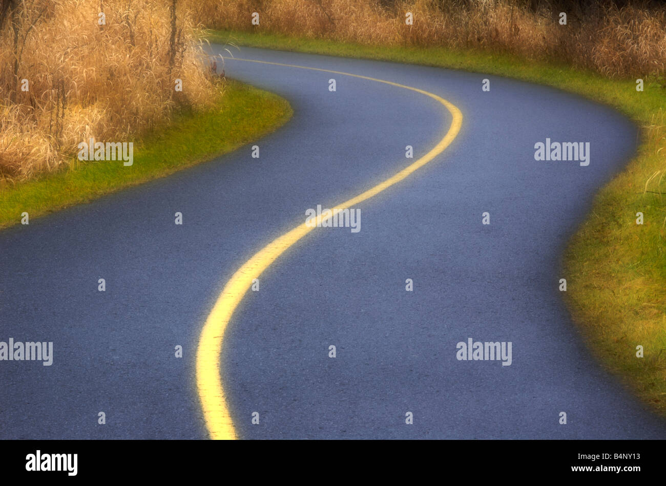 Small paved and curvy road used as a bike trail in a park Stock Photo ...