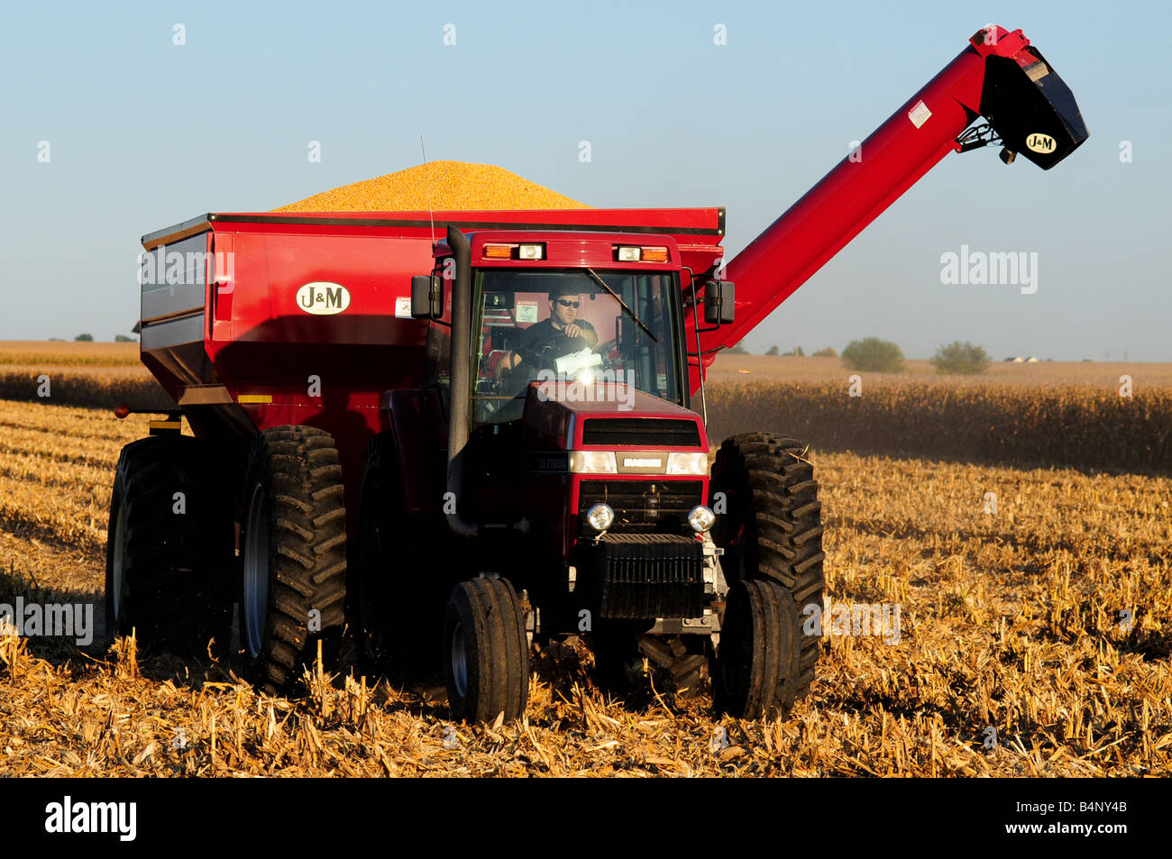 A farm tractor hauling a grain wagon during harvest time. The wagon ...
