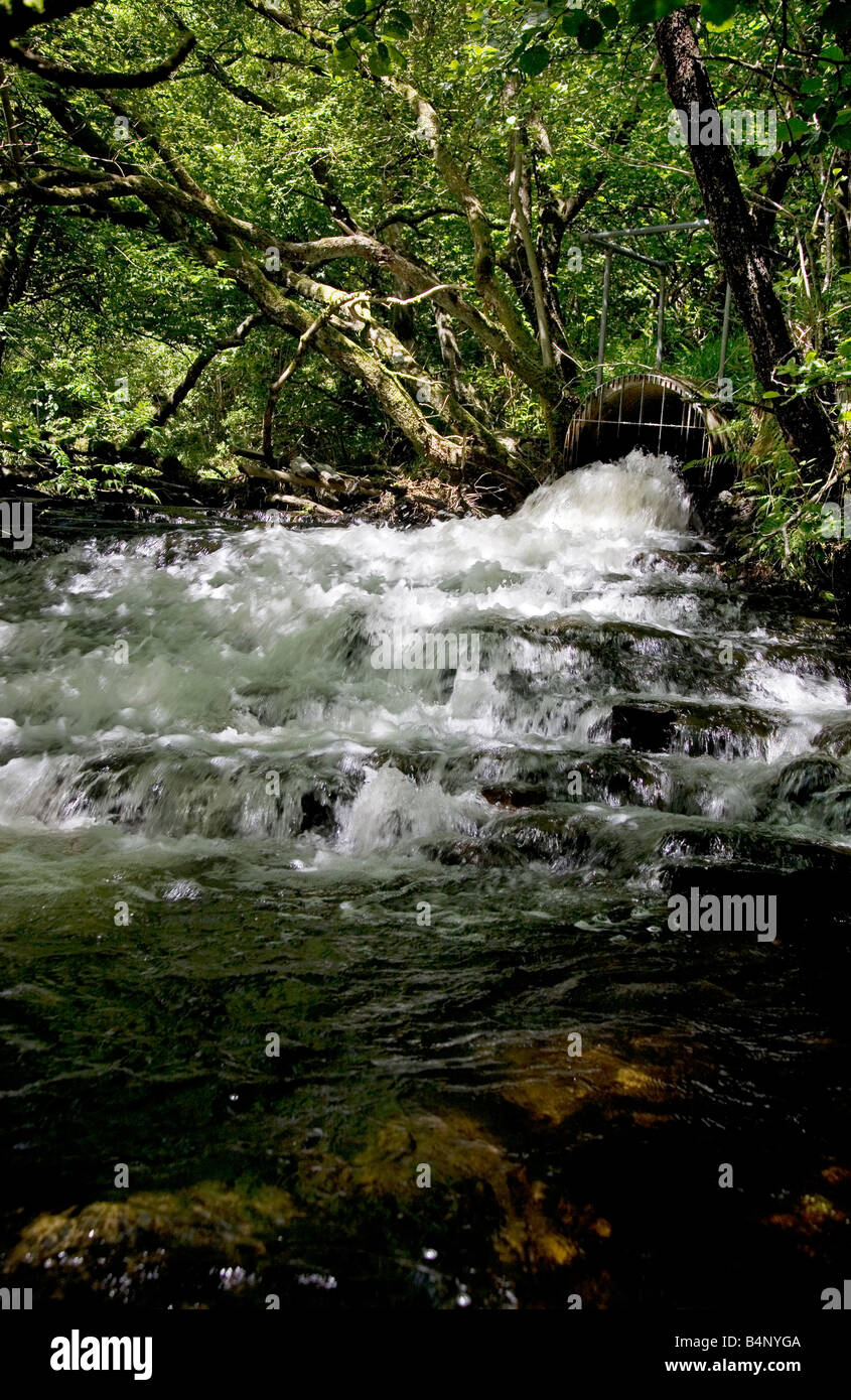 Fast flowing gushing water streams tail race from turbine house hi-res ...