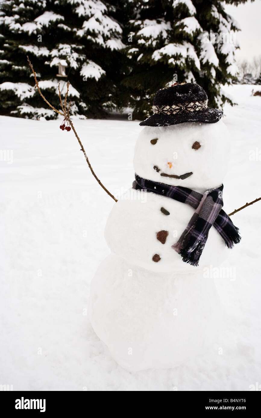 A happy snowman with a black hat, scarf, and carrot nose Stock Photo ...