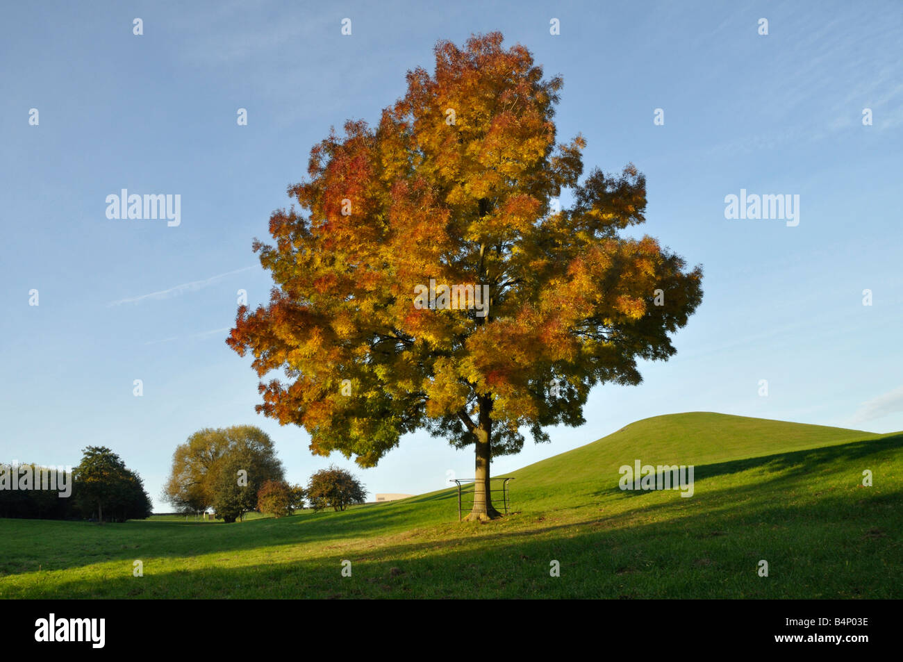 Milton keynes trees hi-res stock photography and images - Alamy