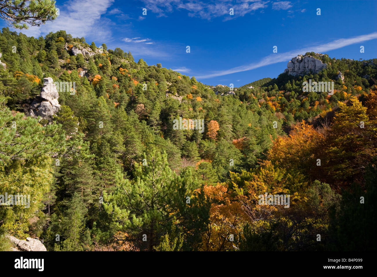 Mountain changing color in autumn Stock Photo - Alamy