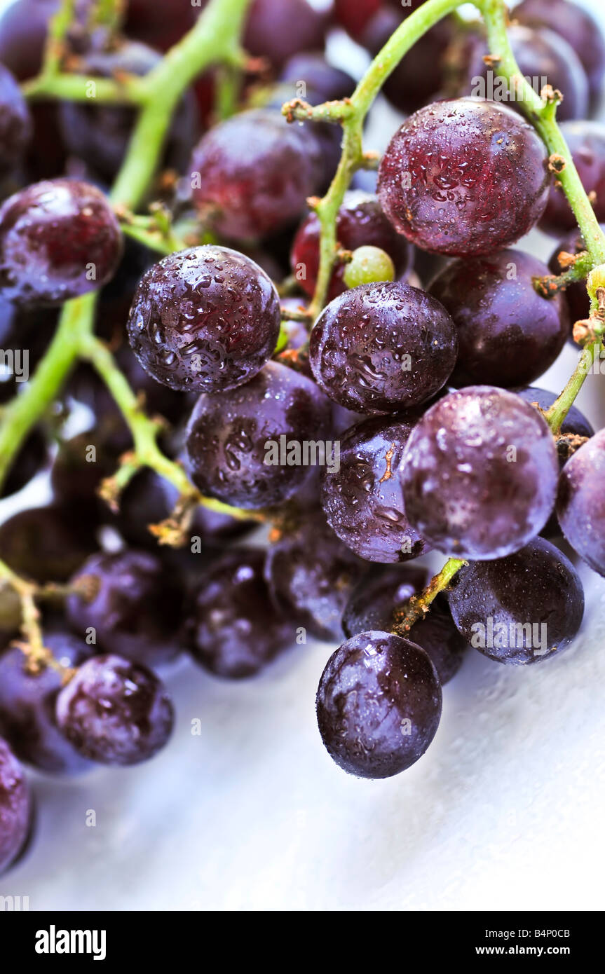 Cluster of red grapes close upi on white background Stock Photo - Alamy