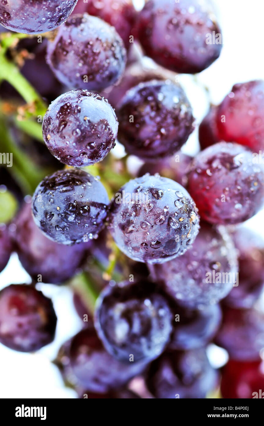 Cluster of red grapes close upi on white background Stock Photo - Alamy