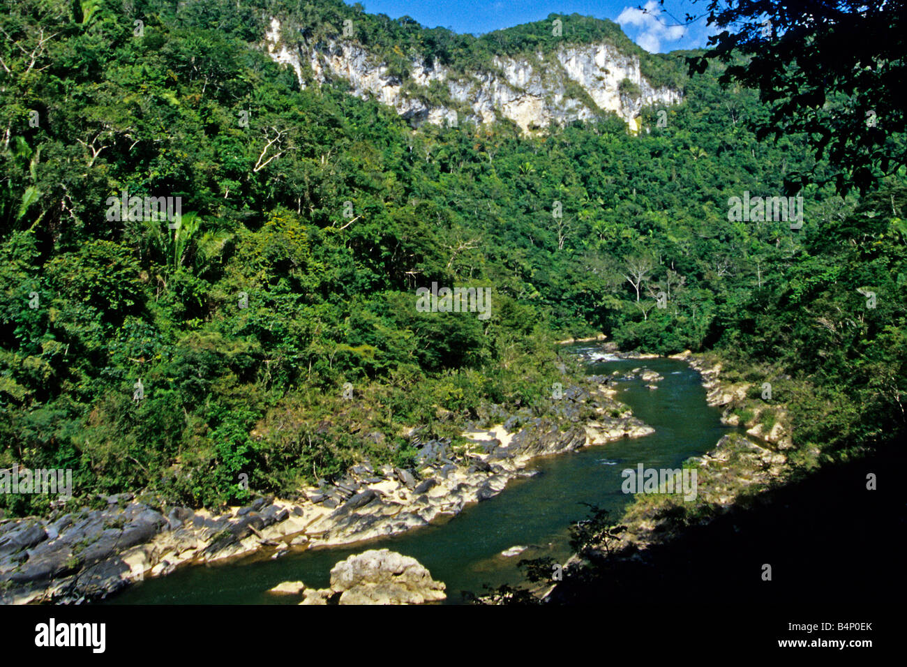 Macal River, Cayo District, Belize Stock Photo - Alamy