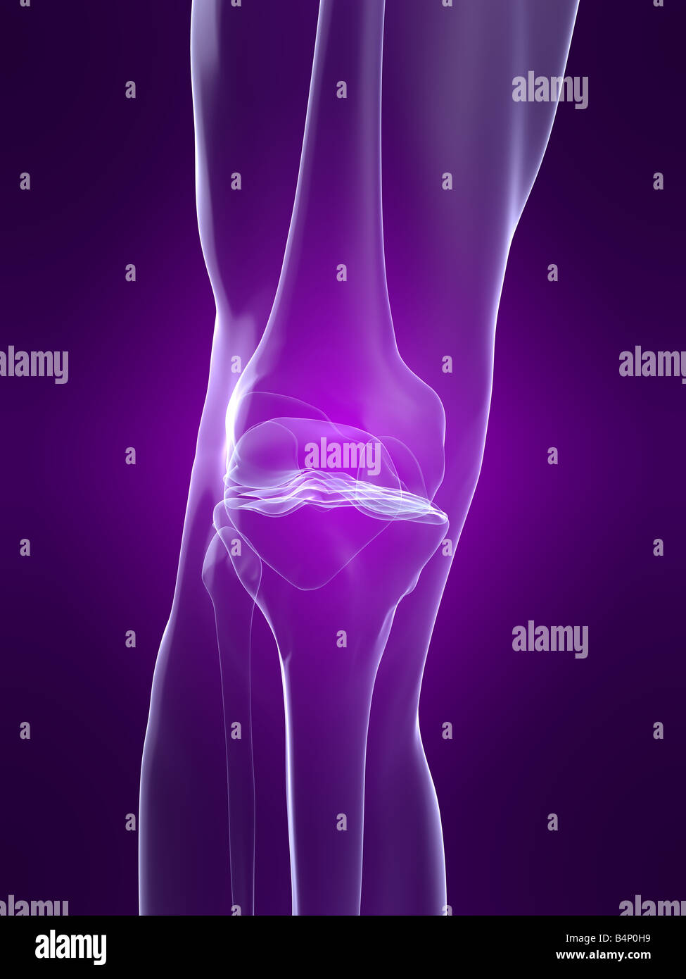 Skeletal graphic hi-res stock photography and images - Alamy