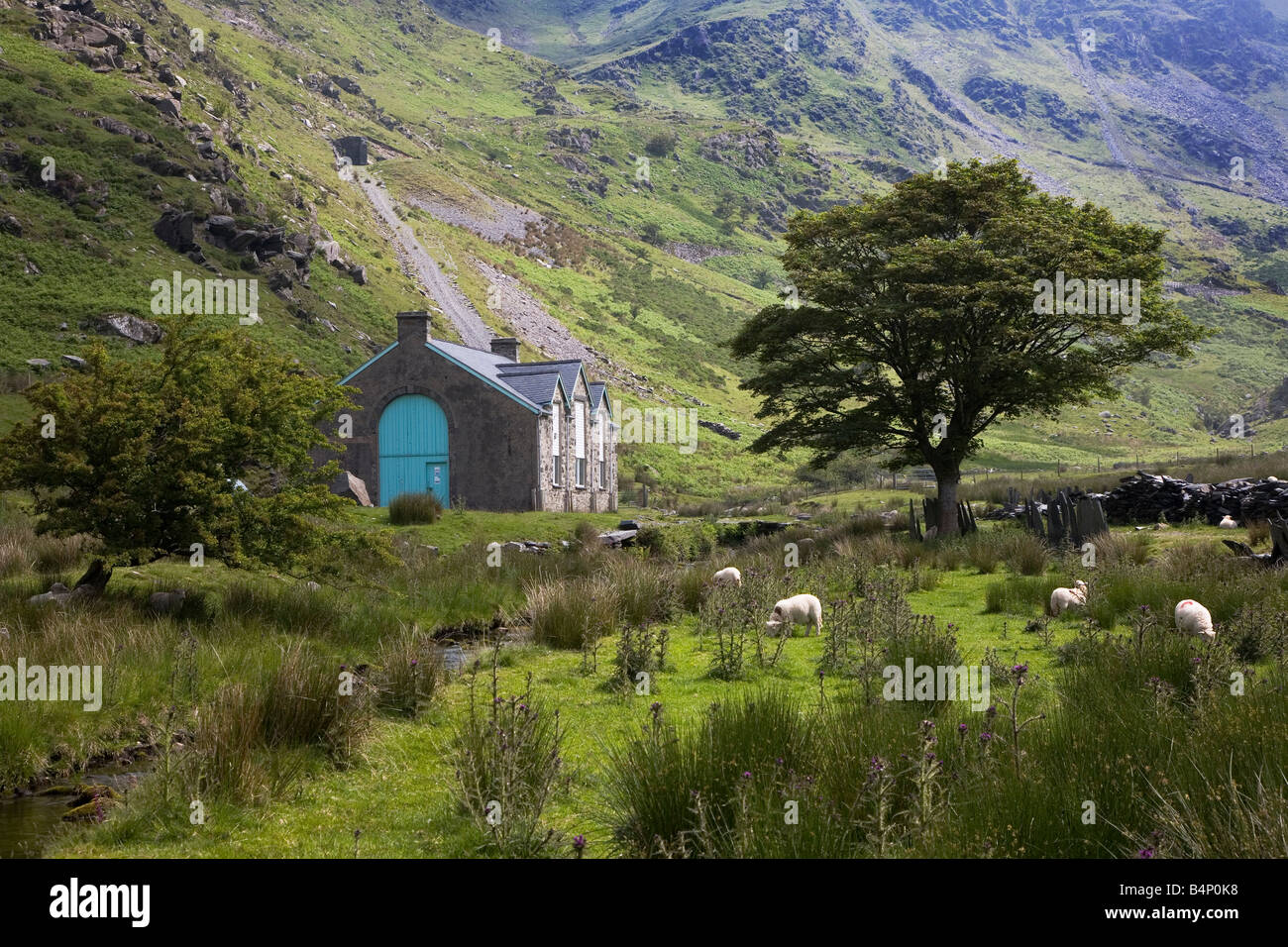Looking NE up Cwm Croesor valley with turbine house of small scale ...