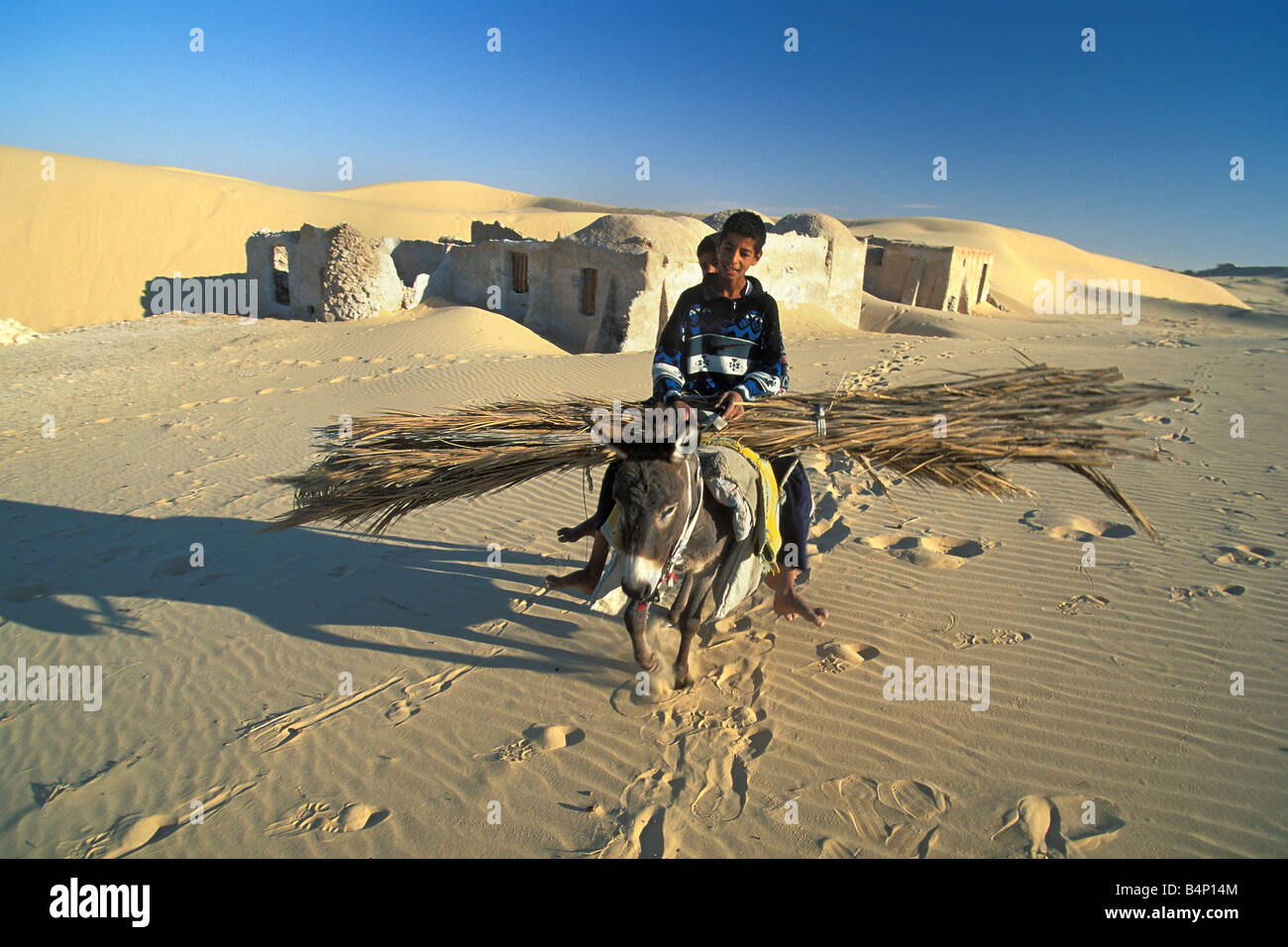 Oasis of touggourt hi-res stock photography and images - Alamy