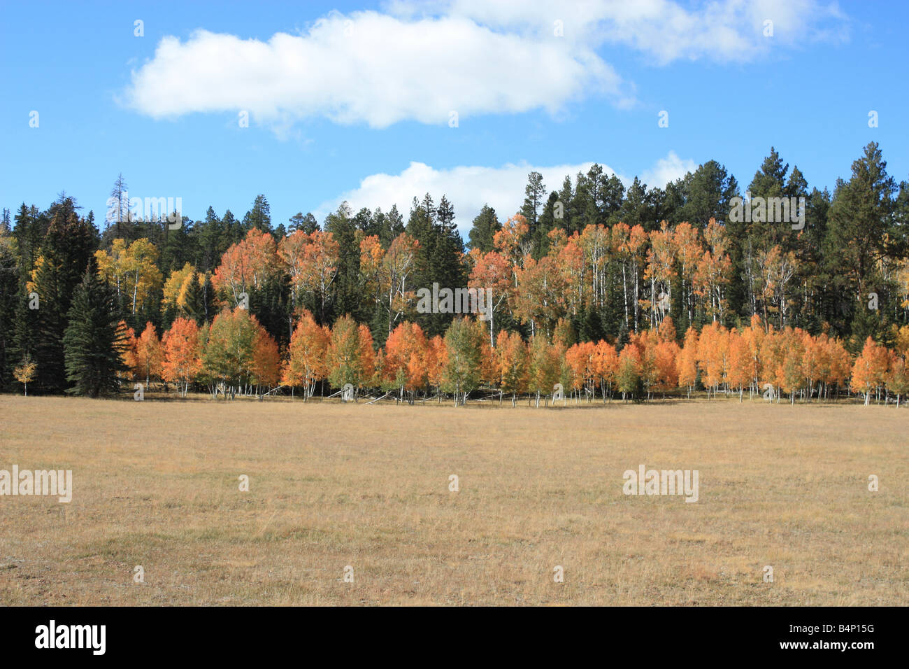 Canyon with fall colors hi-res stock photography and images - Alamy