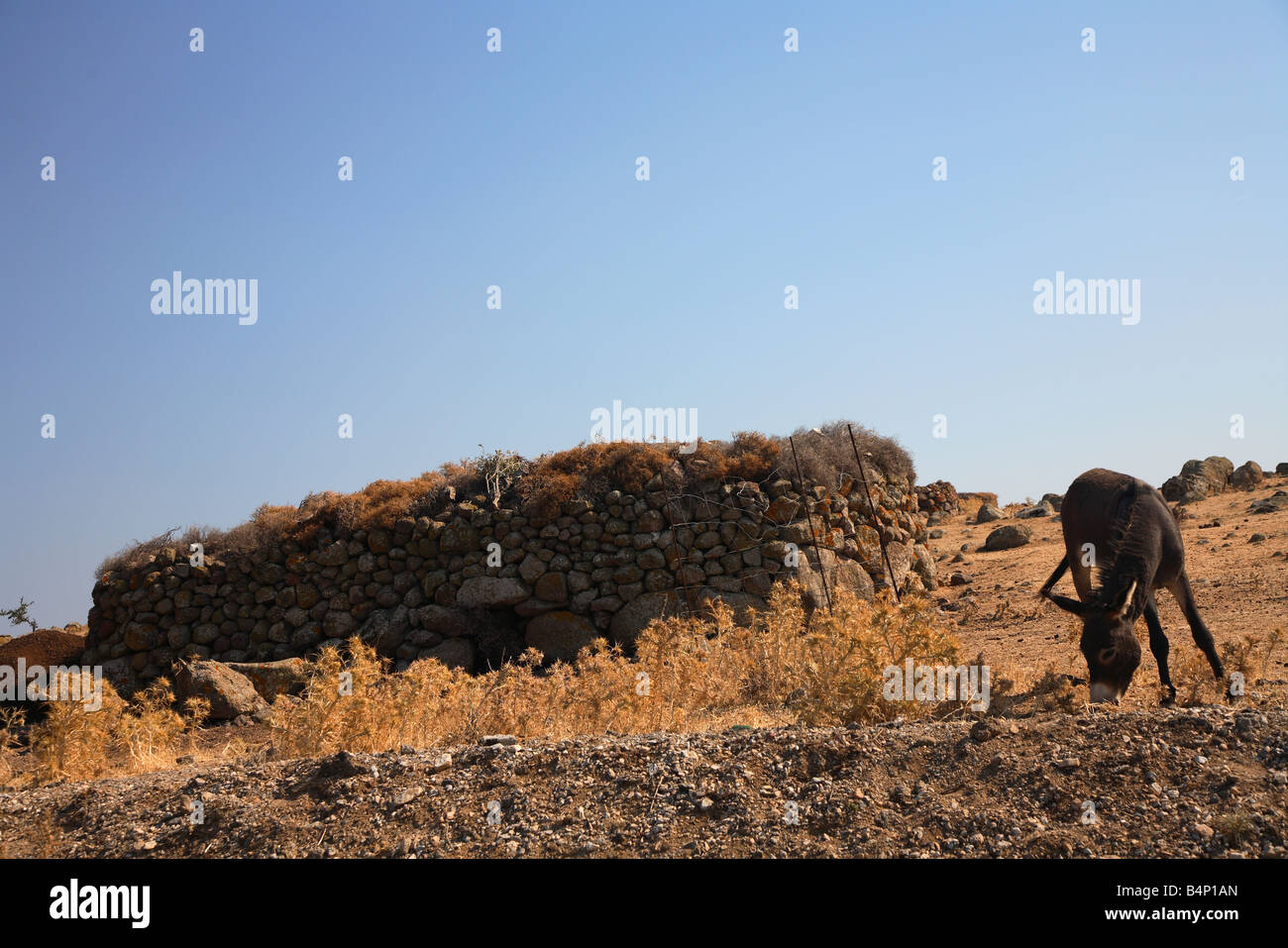 Ezine hi-res stock photography and images - Alamy