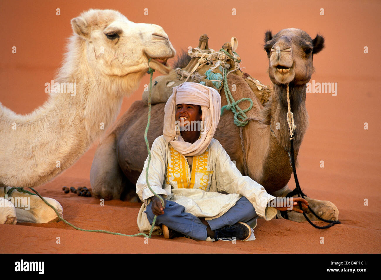 Algeria near Djanet Boy of Tuareg tribe Camel caravan Sahara Desert ...