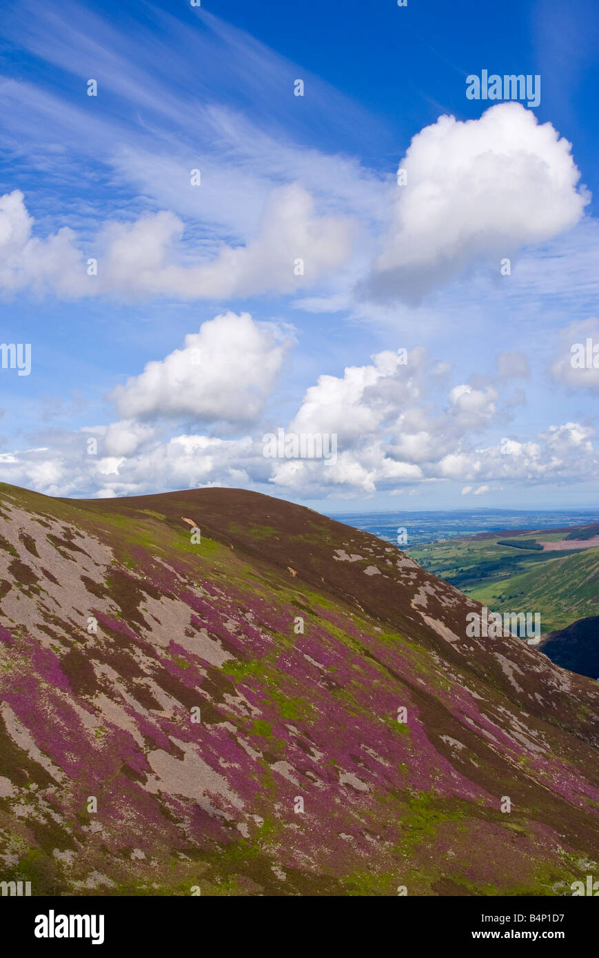 Mynydd mawr hi-res stock photography and images - Alamy
