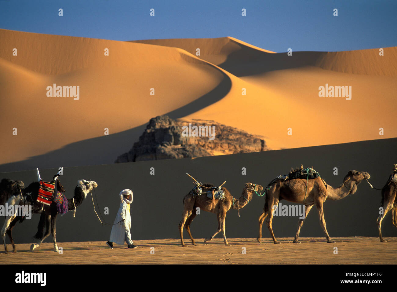 Algeria near Djanet Boy of Tuareg tribe Camel caravan Sahara Desert ...