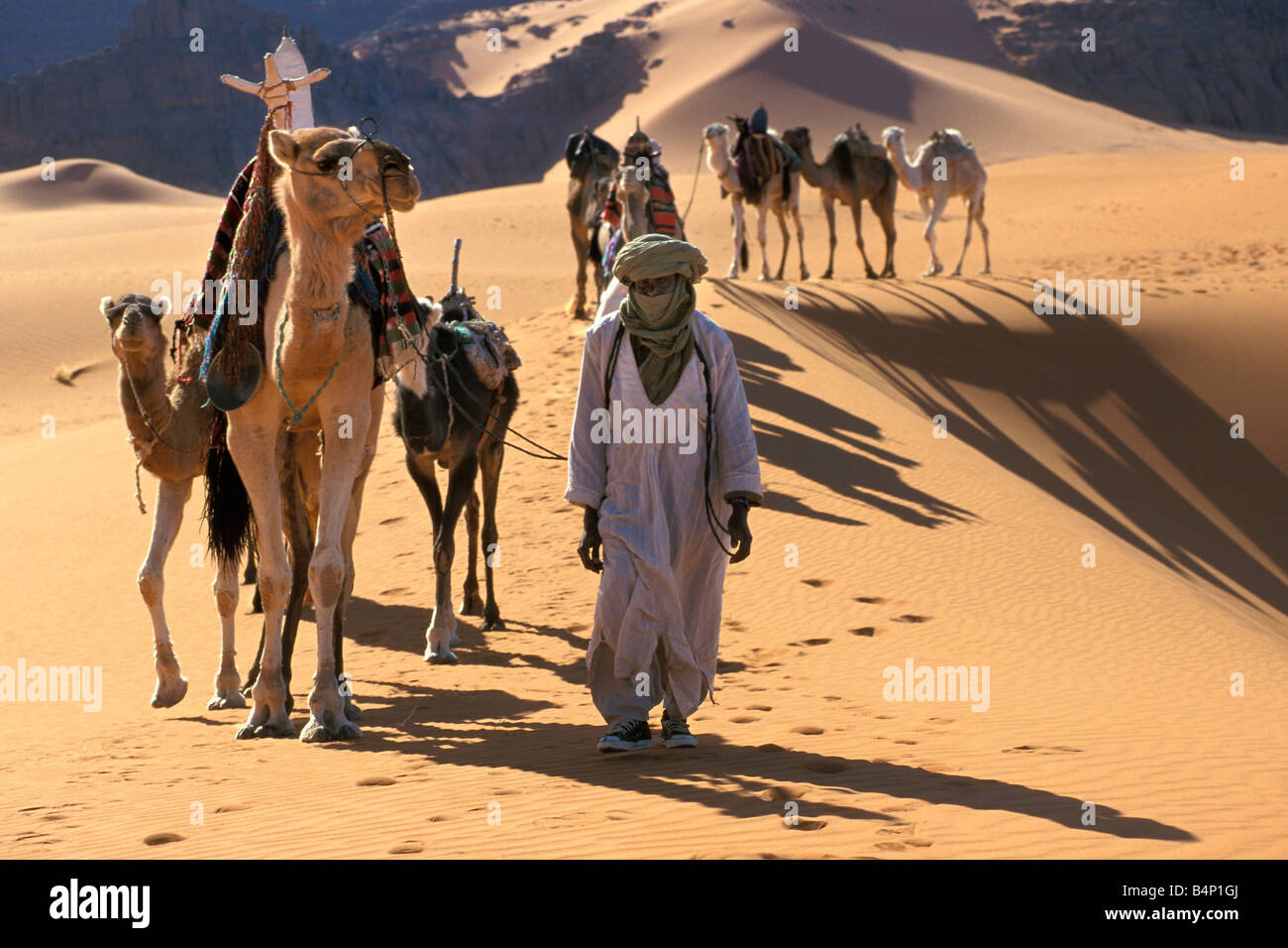 Algeria near Djanet Sanddunes Men of Tuareg tribe Camel caravan Sand ...