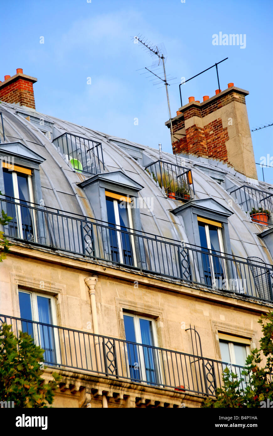 French Mansard Roof Windows
