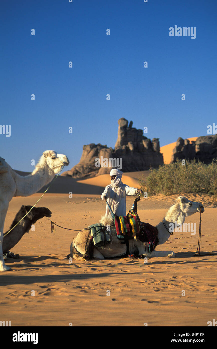 Algeria Djanet Men of Tuareg tribe Camel caravan Laoding camels Sahara ...