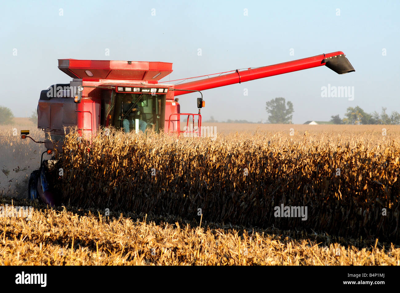 A combine in the farm field at harvest time Stock Photo - Alamy