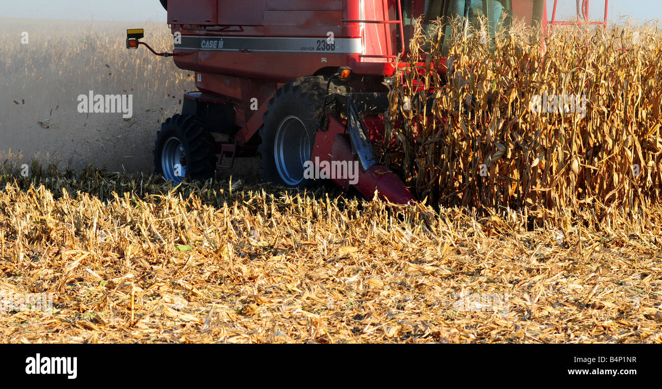 A combine in the farm field at harvest time Stock Photo - Alamy