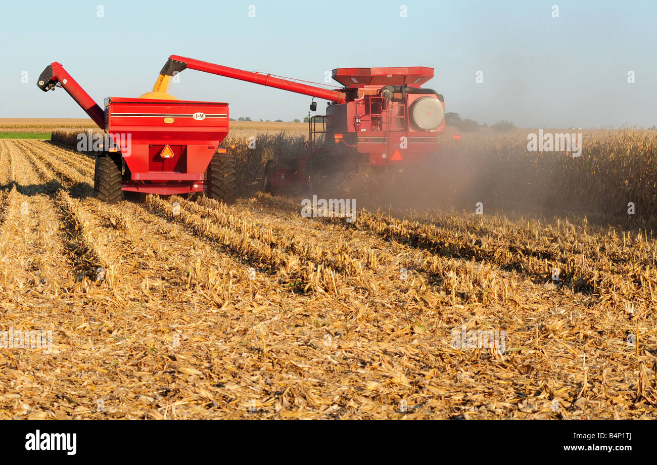 A combine in the farm field at harvest time Stock Photo - Alamy