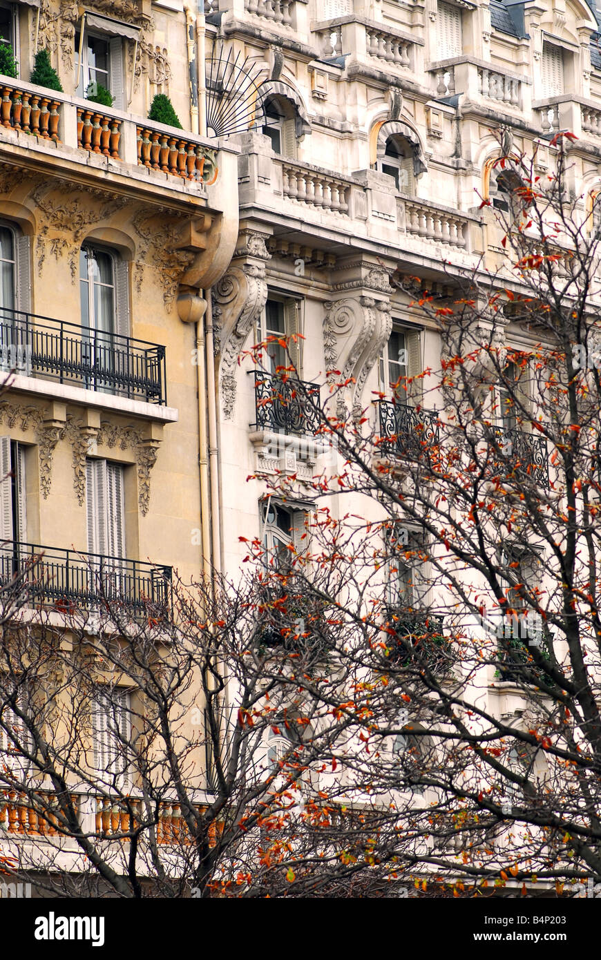 Fragment of a Paris building with autumn trees Stock Photo - Alamy