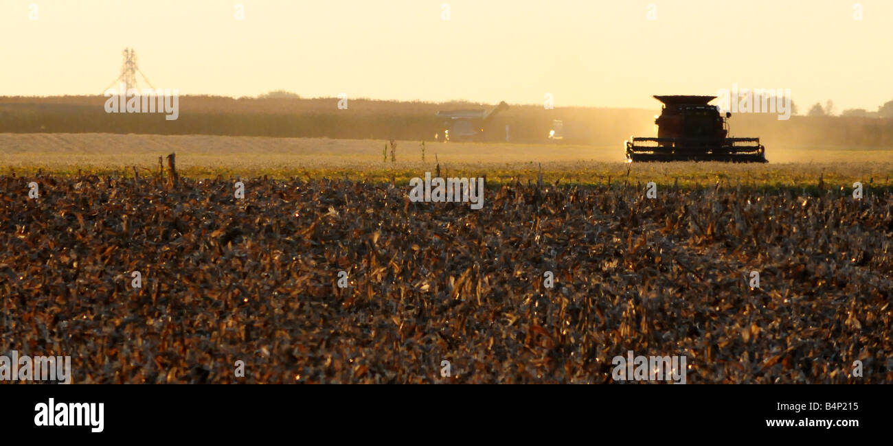 A combine in the farm field at harvest time Stock Photo - Alamy