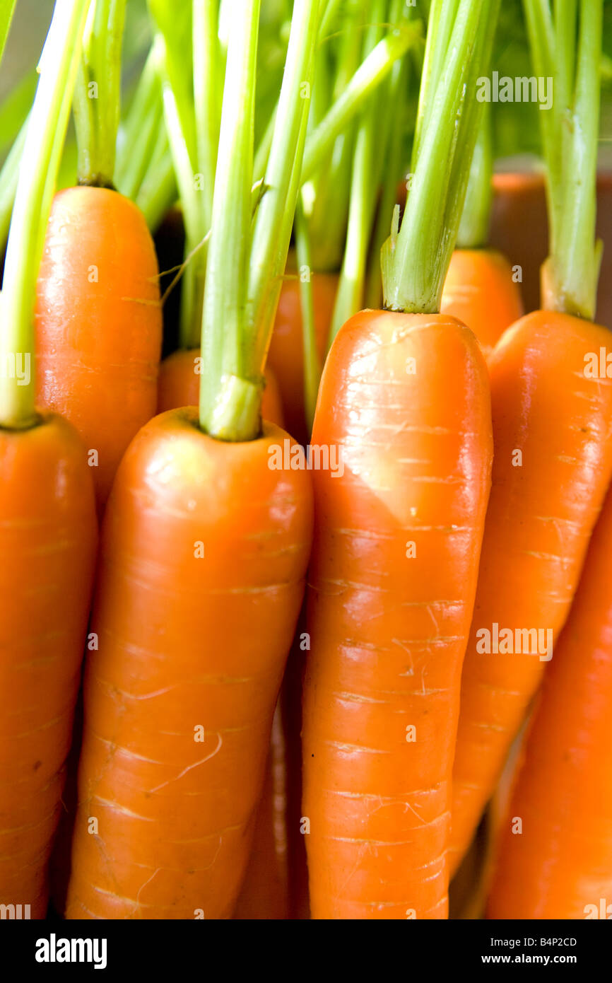 Healthy veg kitchen garden hi-res stock photography and images - Alamy