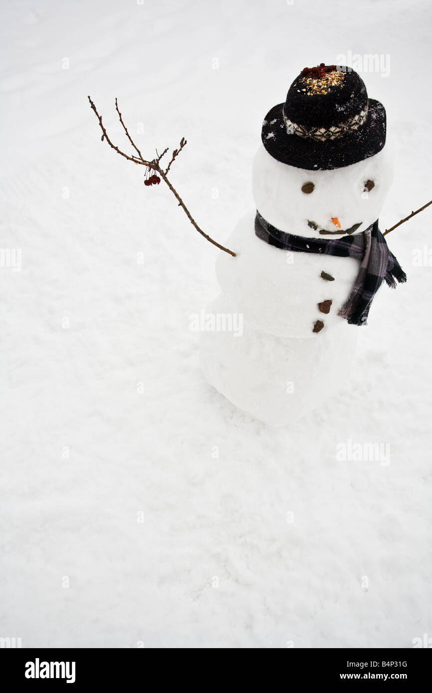 A happy snowman with a black hat, scarf, and carrot nose Stock Photo ...