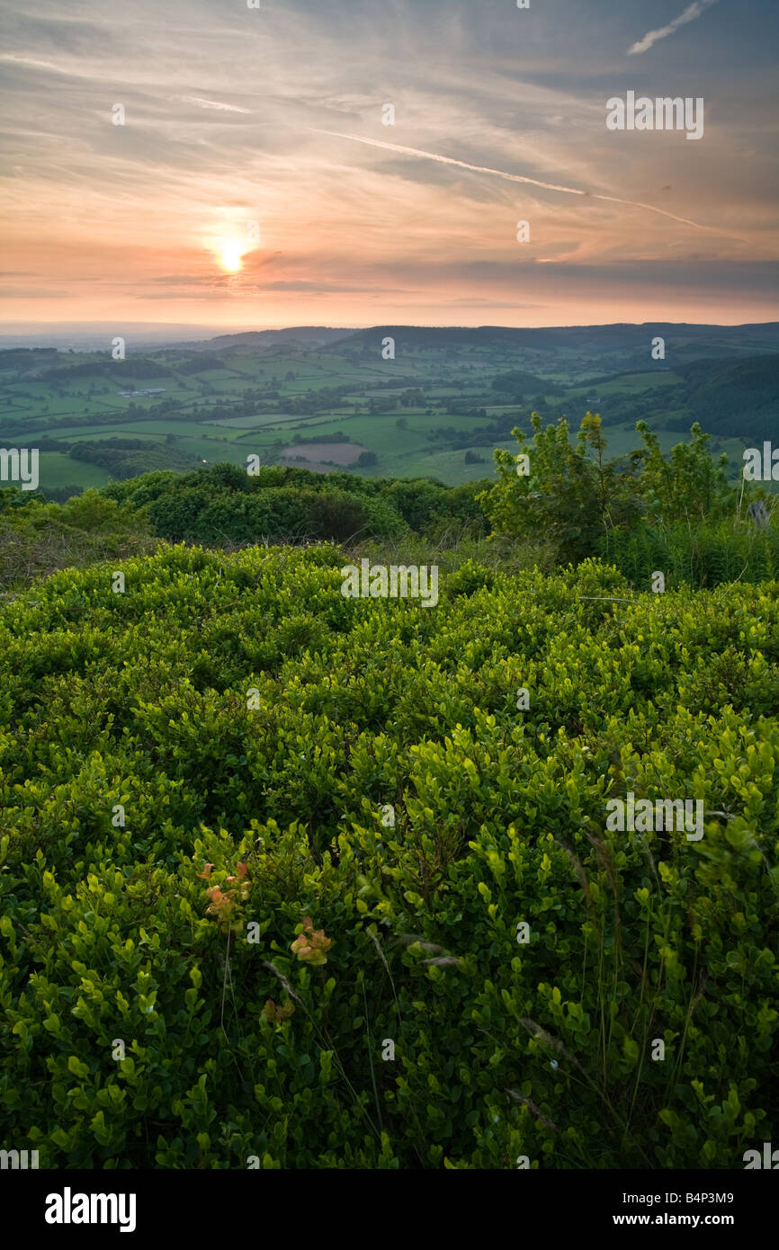 Sunset at Sutton Bank, North Yorkshire Stock Photo - Alamy