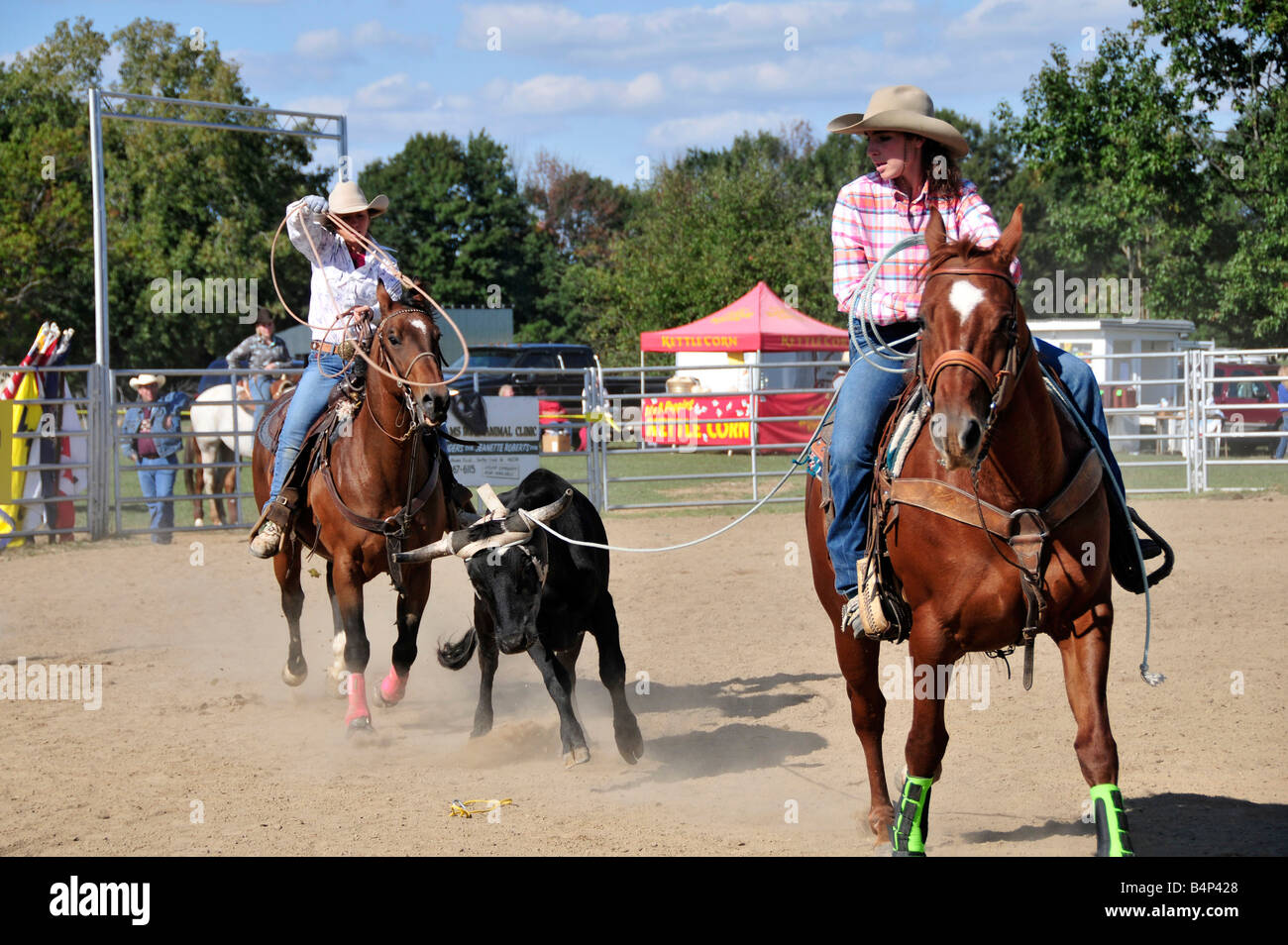 Team roping rodeo hi-res stock photography and images - Alamy