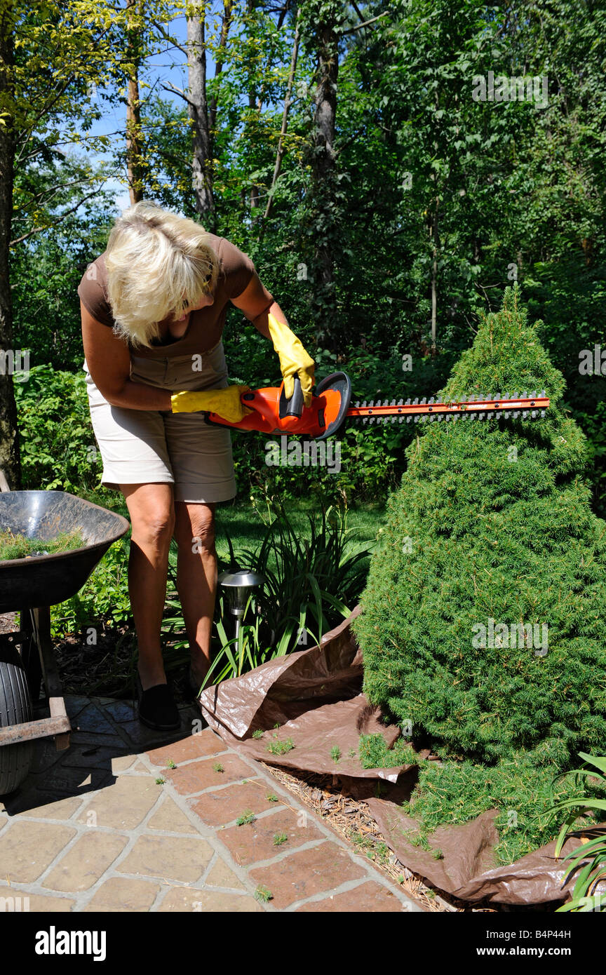 Female shapes hi-res stock photography and images - Alamy