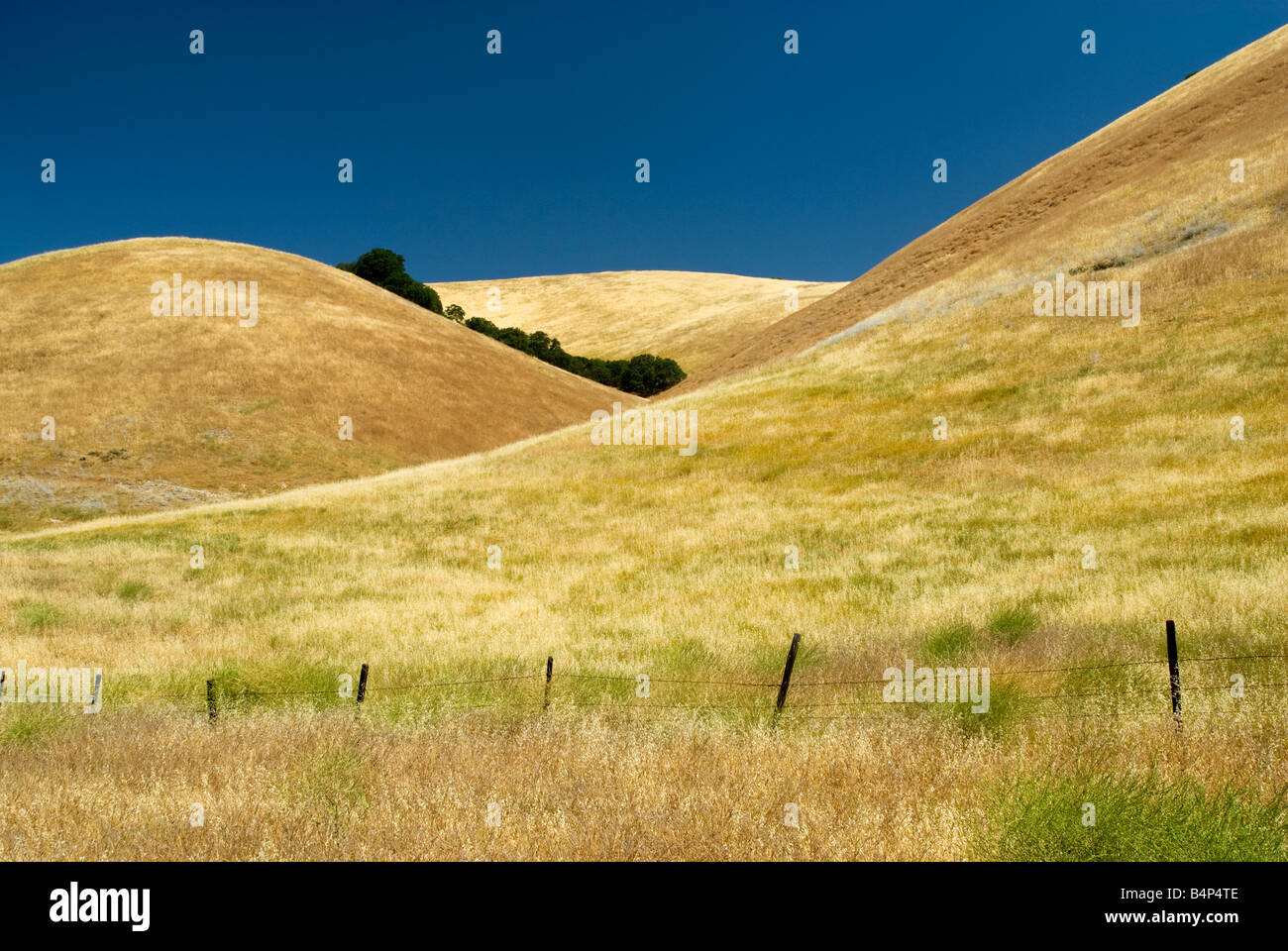 Hills near Lockwood Coastal Ranges California USA Stock Photo - Alamy