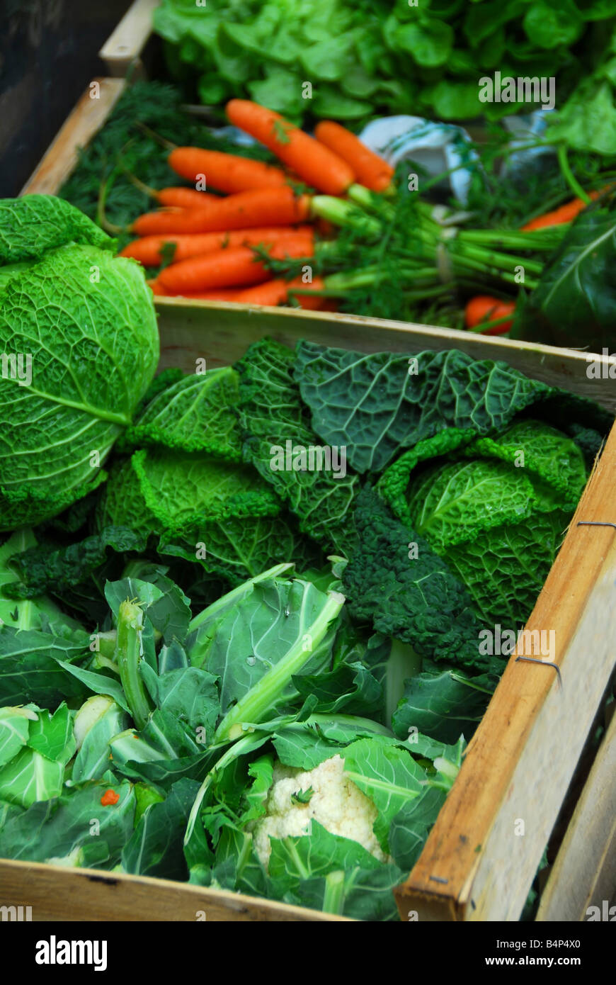 Fresh assorted vegetables in boxes on farmer s market Stock Photo - Alamy