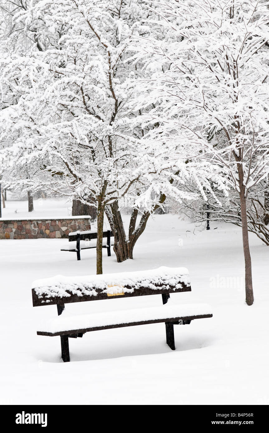 Winter park landscape with bench under the snow Stock Photo - Alamy