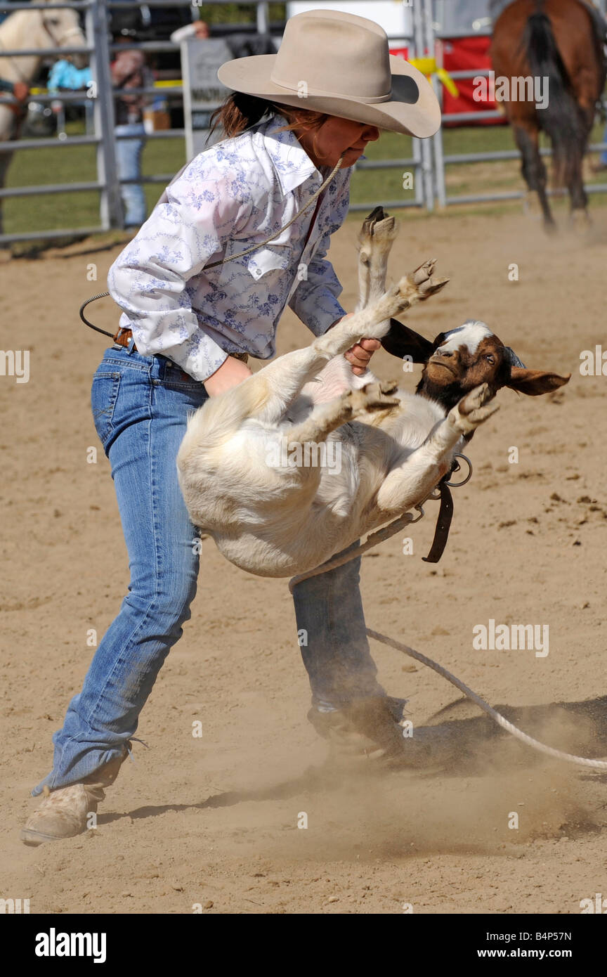 Goat tying hi-res stock photography and images - Alamy