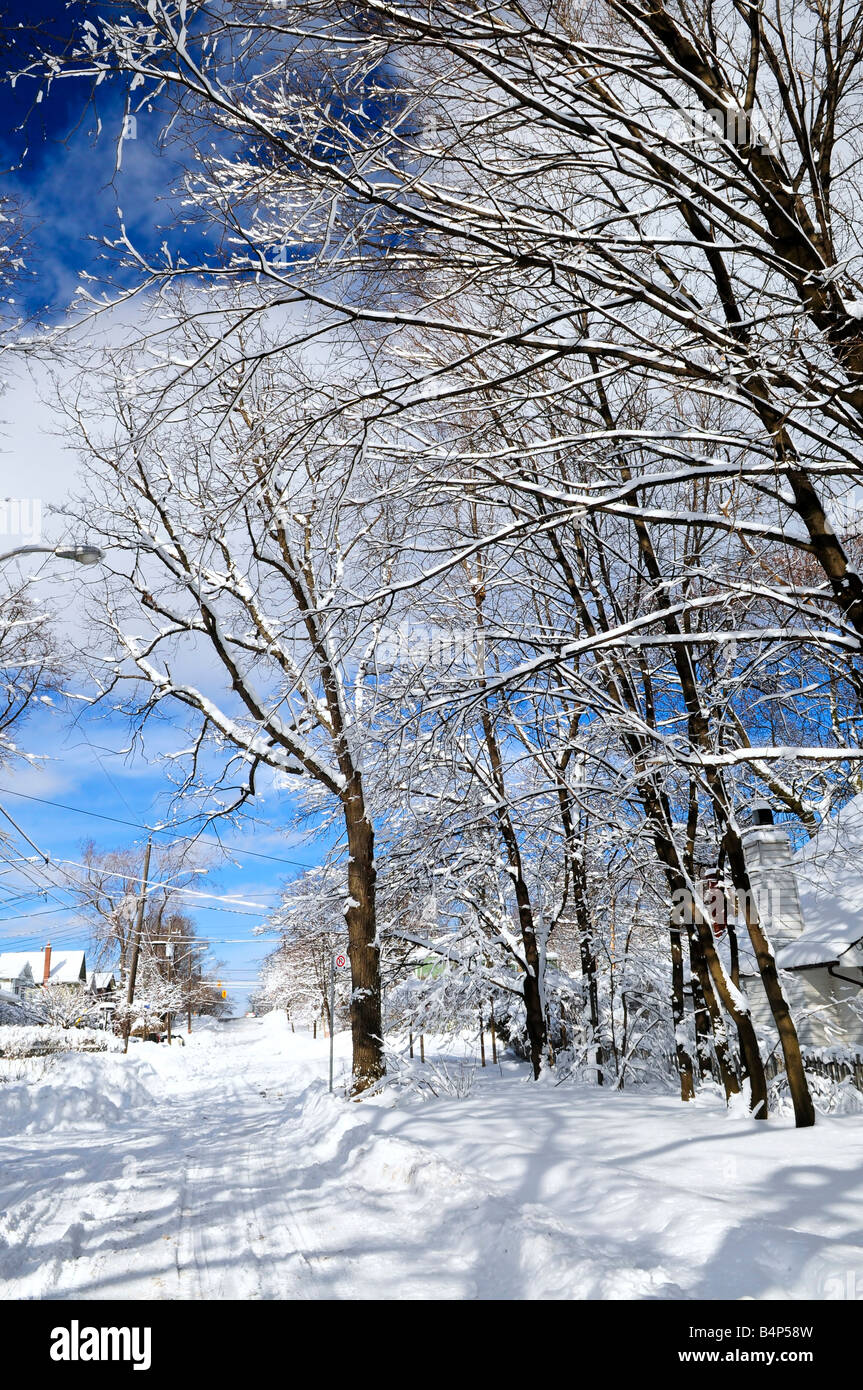 Winter street with lots of snow in Toronto Stock Photo - Alamy