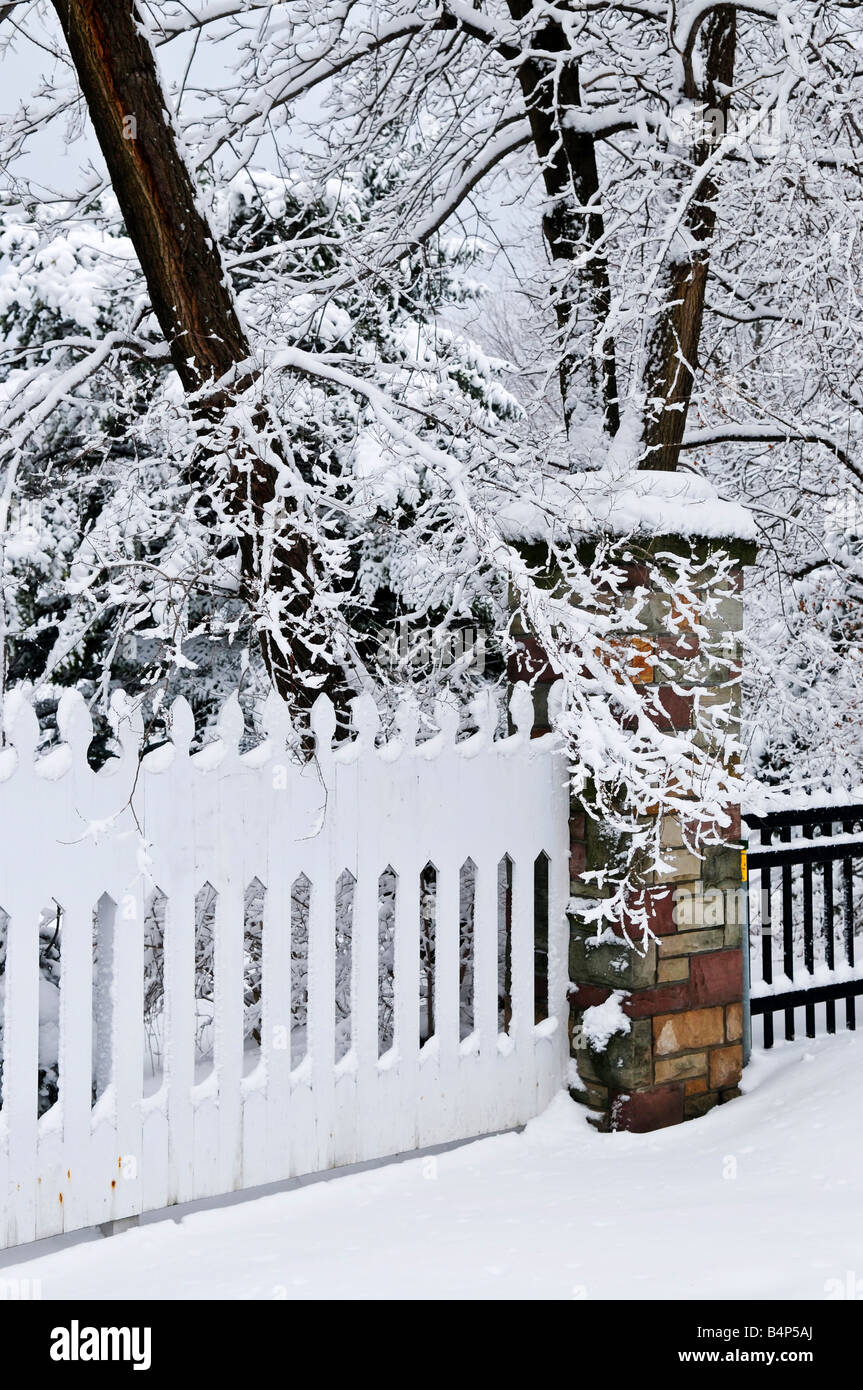 Frost covered trees fence hi-res stock photography and images - Alamy