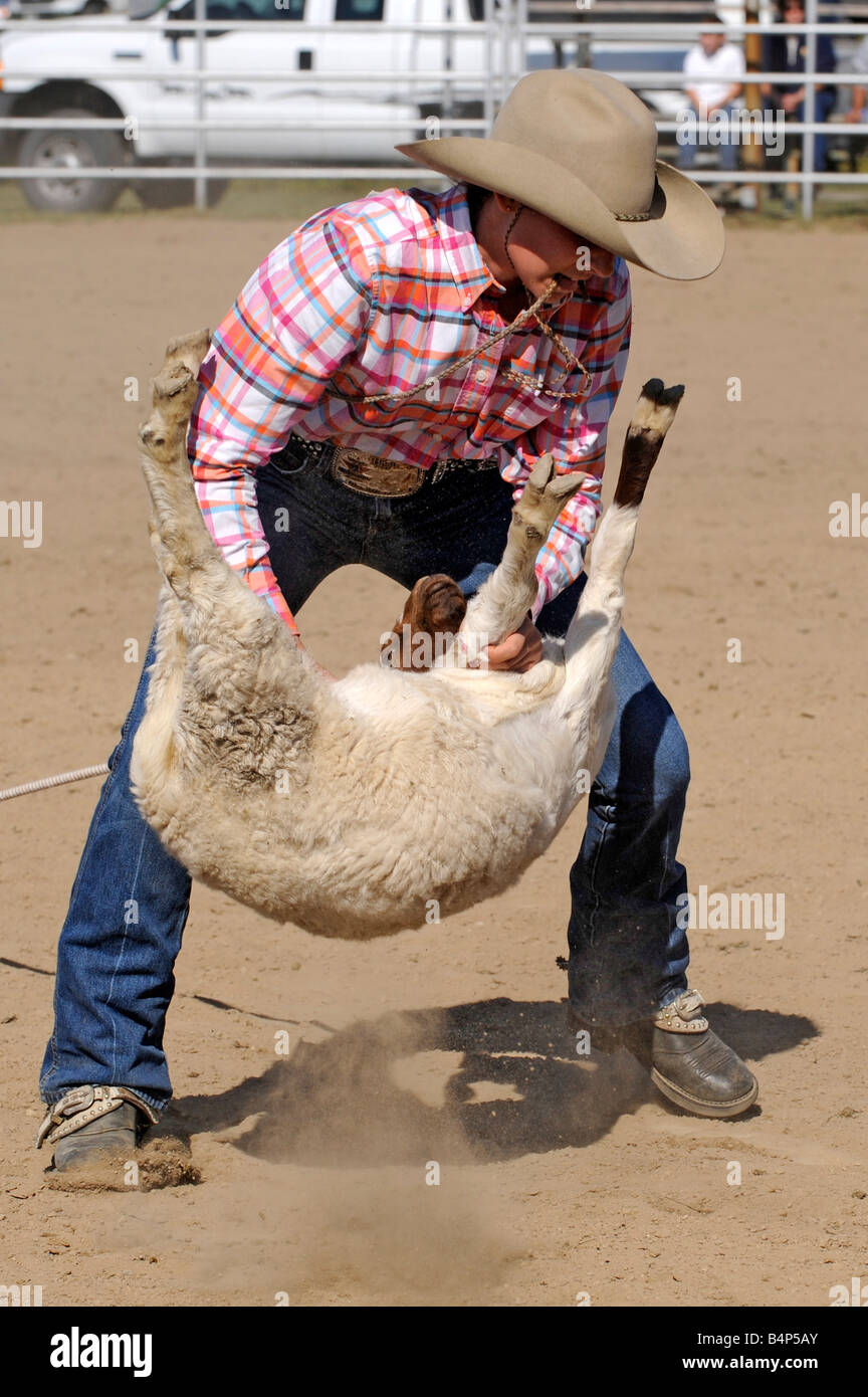 Goat tying hi-res stock photography and images - Alamy