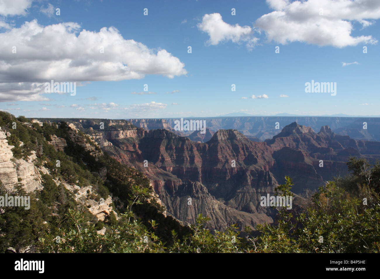 North rim Grand Canyon Arizona,USA Stock Photo - Alamy