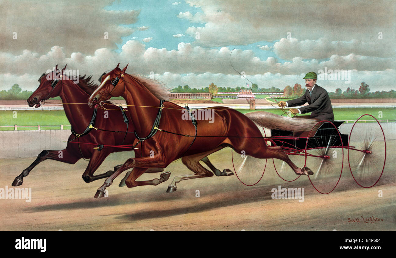 Horse trotting race hi-res stock photography and images - Alamy