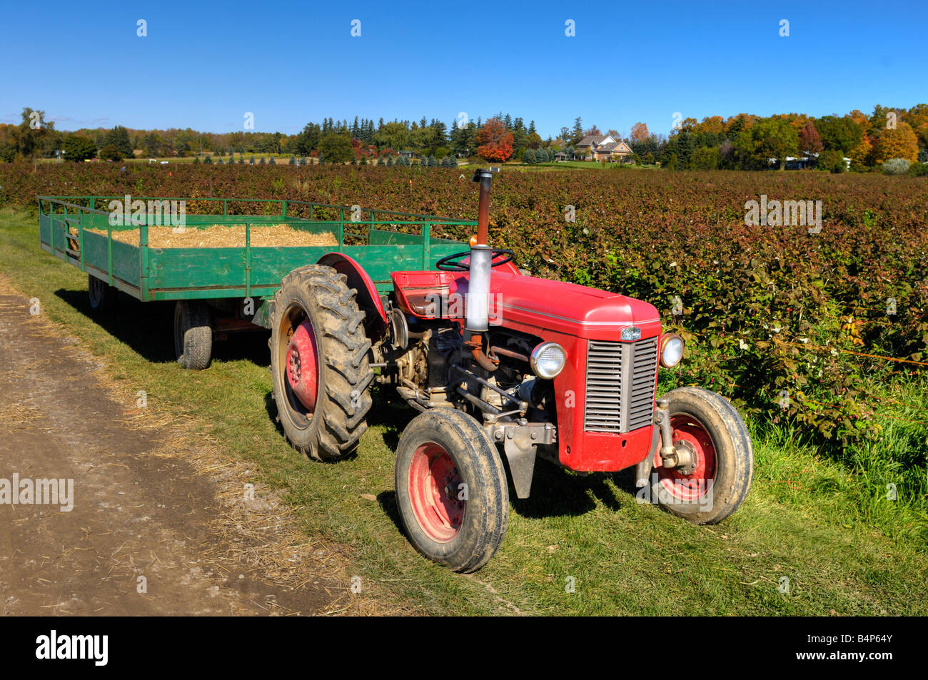 Transportation by cart and tractor hi-res stock photography and images ...