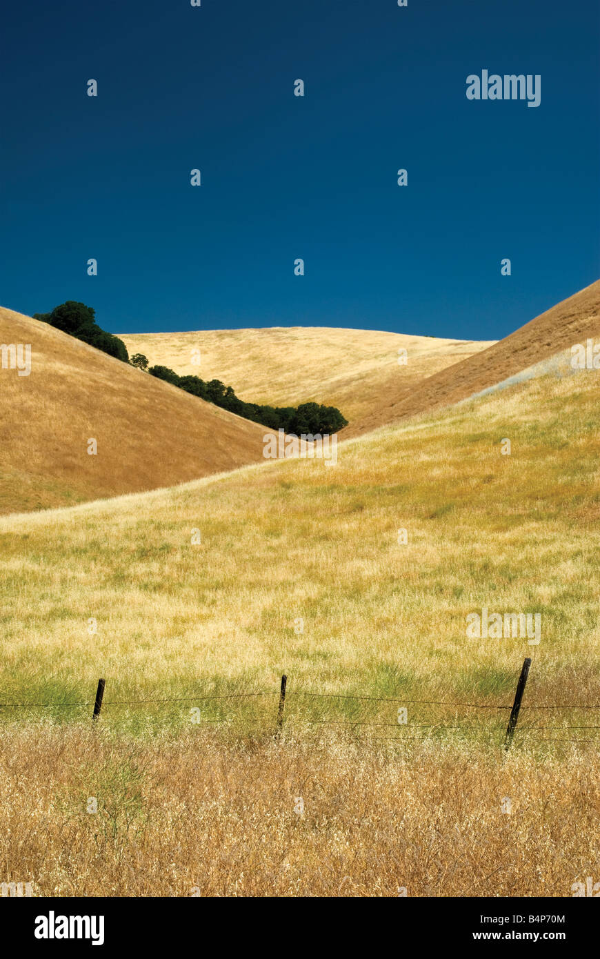 Hills near Lockwood Coastal Ranges California USA Stock Photo - Alamy