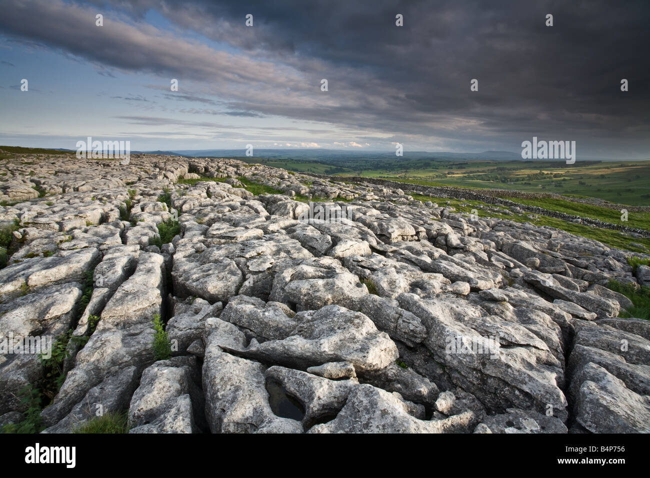 Limestone grass hawthorn hi-res stock photography and images - Alamy