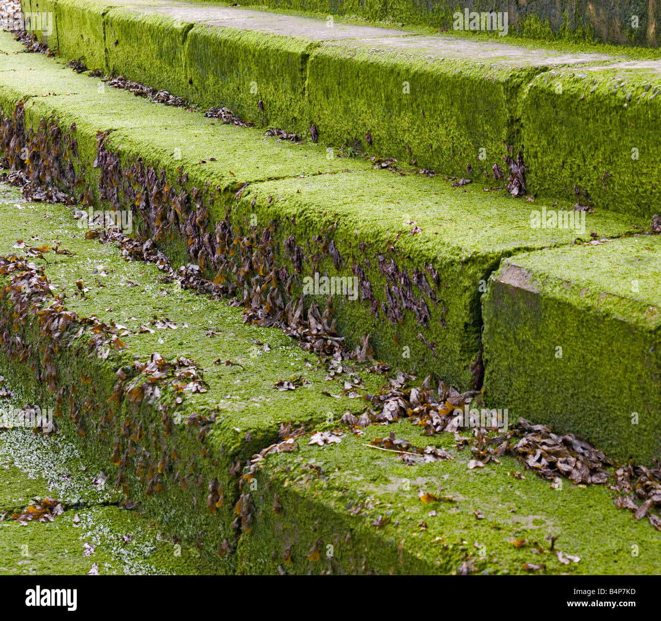 Green steps hi-res stock photography and images - Alamy
