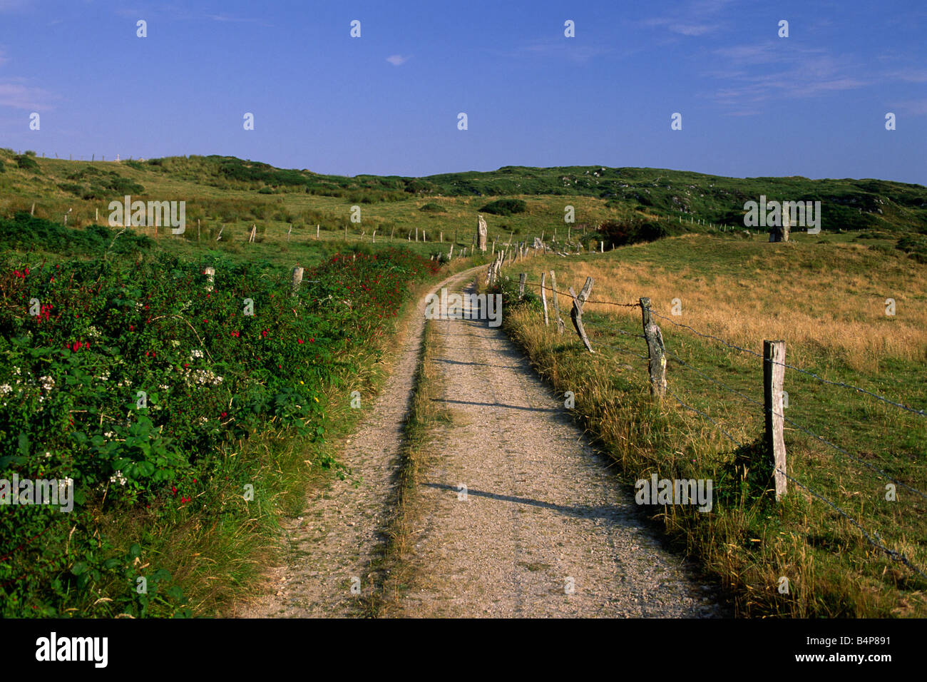 Unpaved pathways hi-res stock photography and images - Alamy