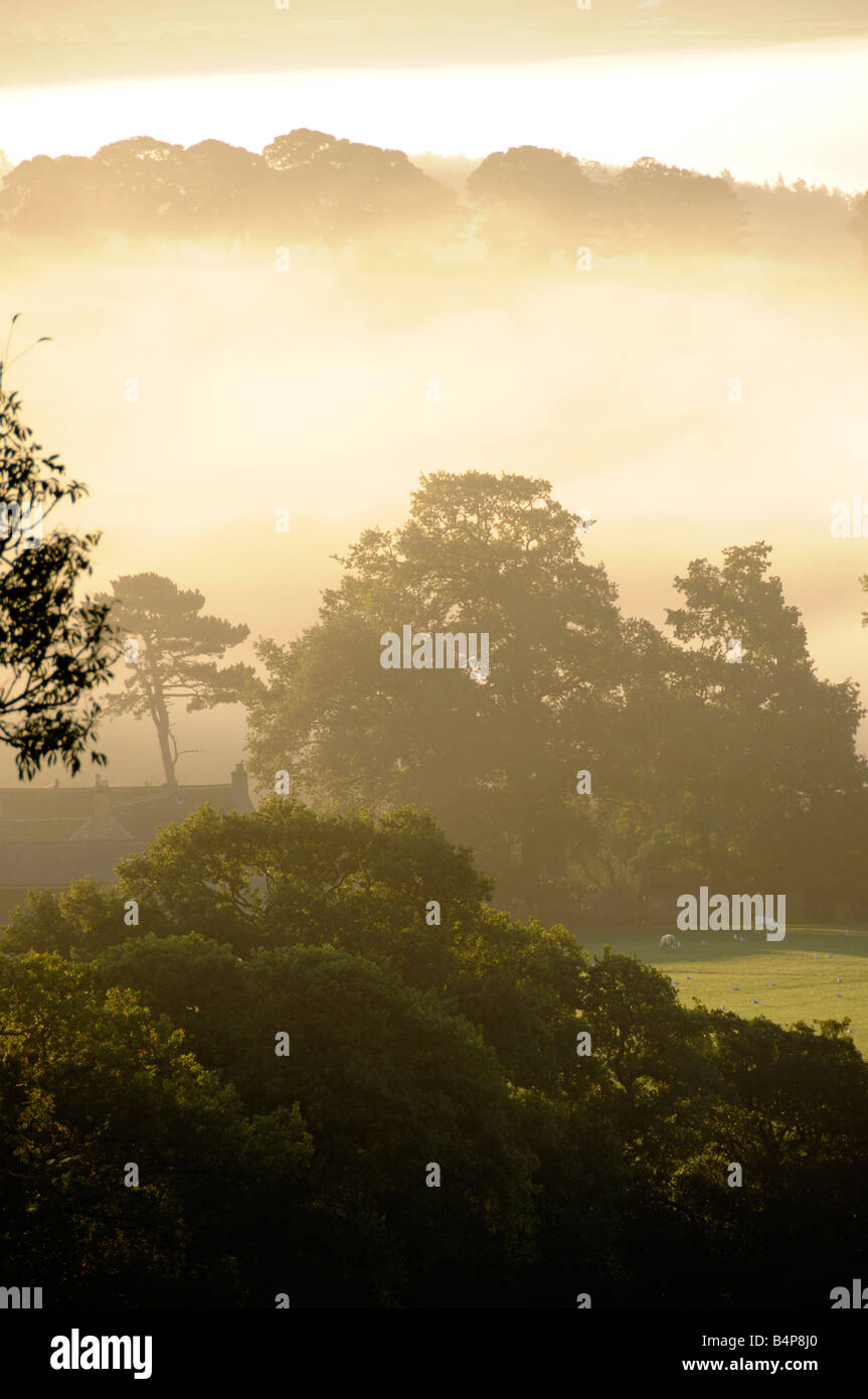 view over tyne valley cold misty morning Stock Photo - Alamy