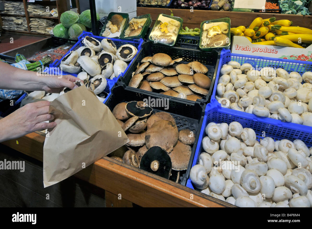 Mature woman shopping & selecting mushrooms Interior retail business at ...