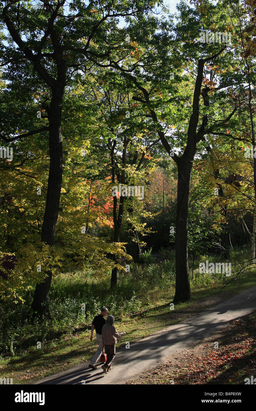 Canada Quebec Montreal Mount Royal autumn forest Stock Photo - Alamy