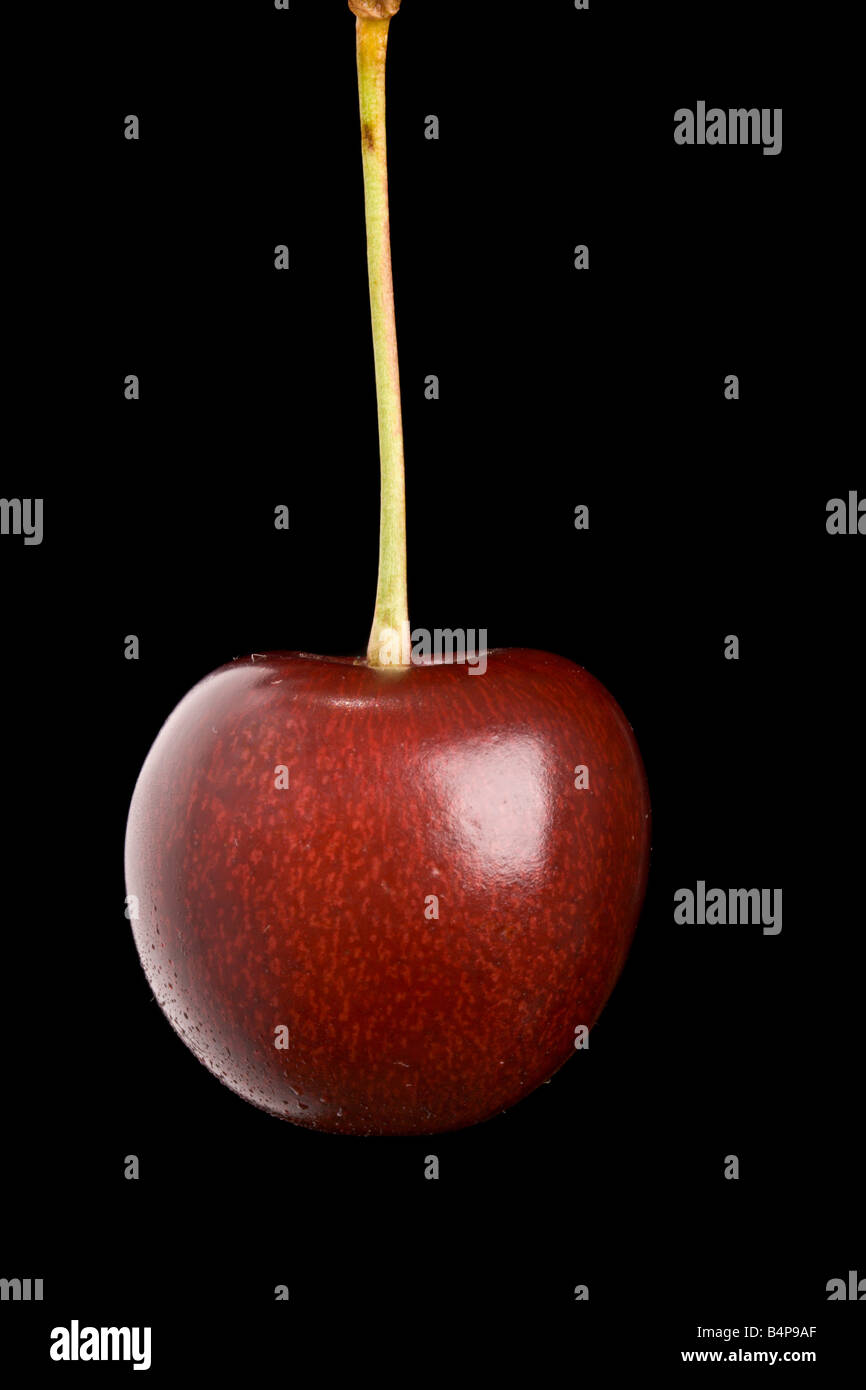 Cherry stem hi-res stock photography and images - Alamy
